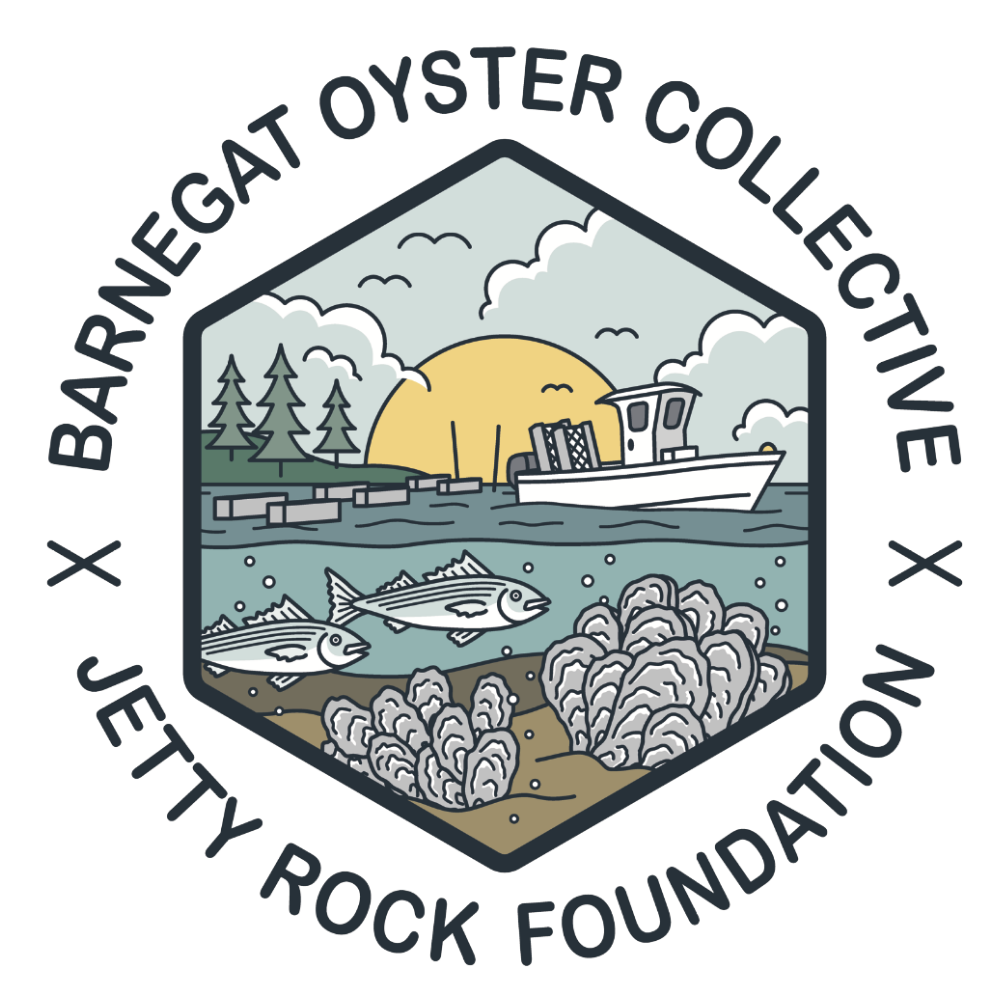 Jetty Rock Collaboration – Barnegat Oyster Collective