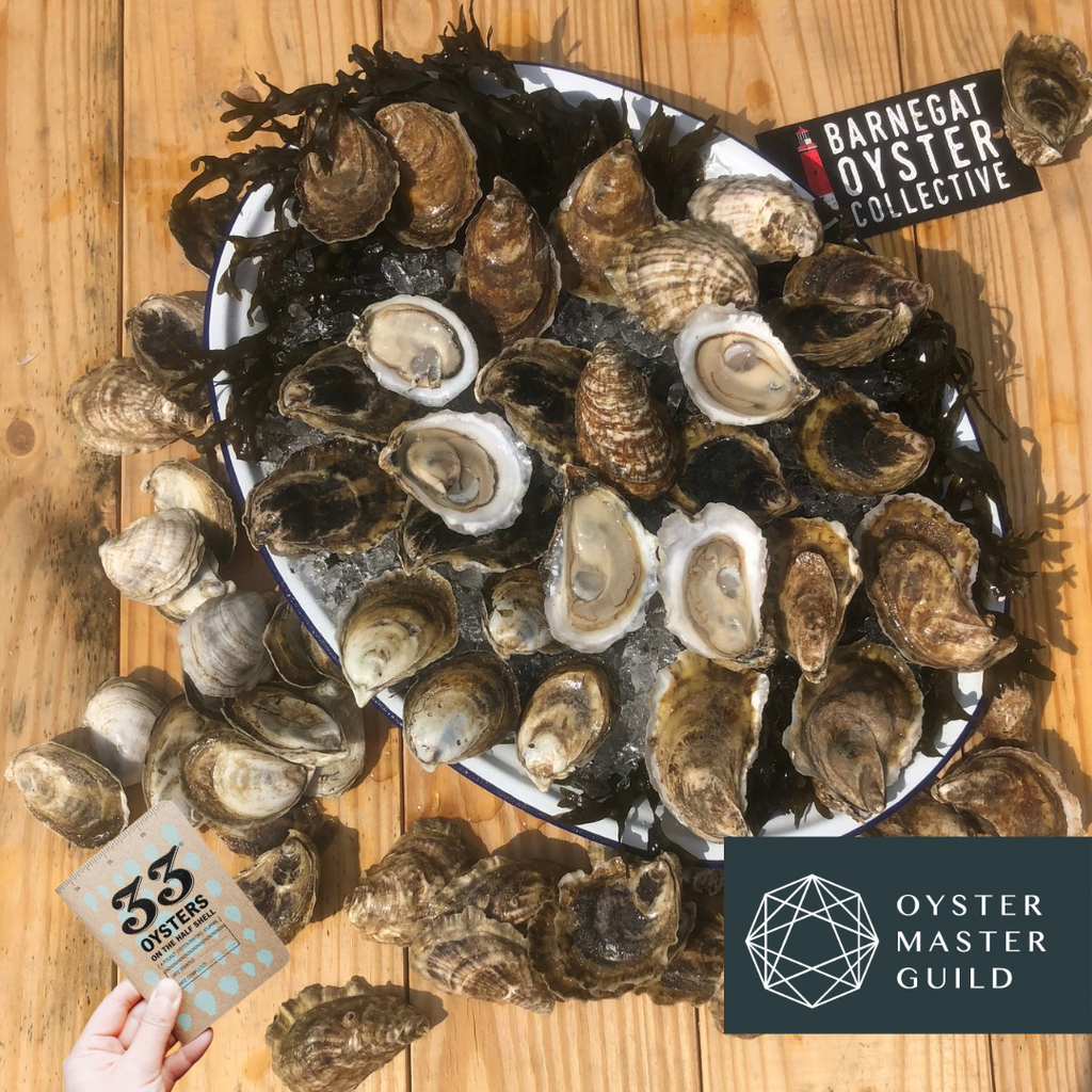Omg X Boc Oyster Appreciation And Sensory Workshop Barnegat Oyster