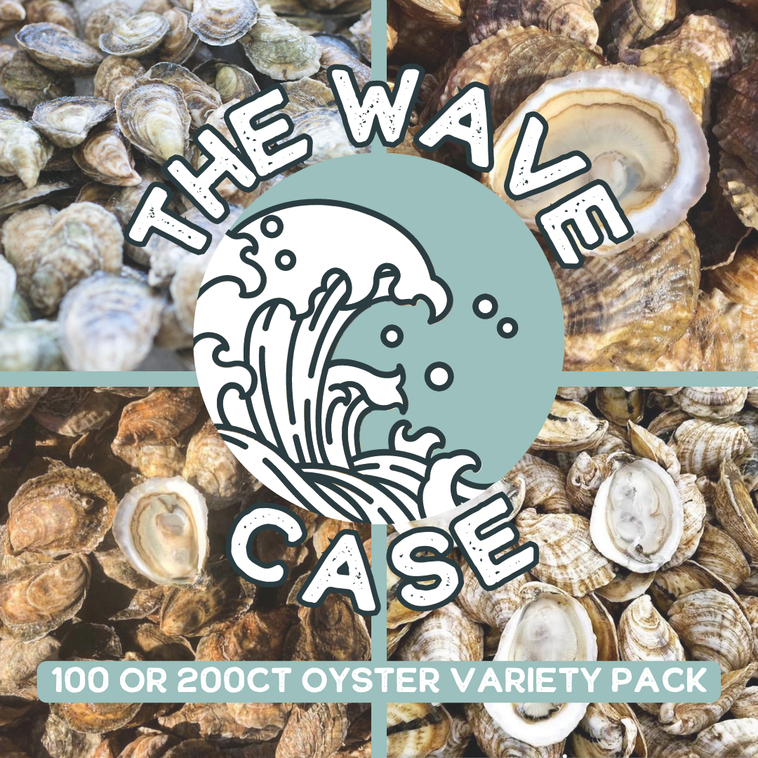 Bulk Oyster Packs – Barnegat Oyster Collective